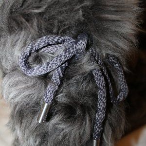 UGG | Shoes | Nib Ugg Thunder Cloud Womens Tall Posh Fur Suede Boots 6 ...